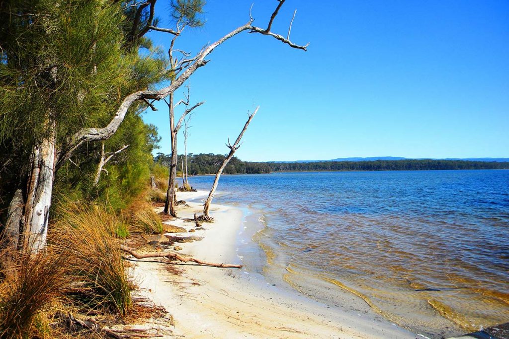 things-to-do-swan-lake-nsw-08